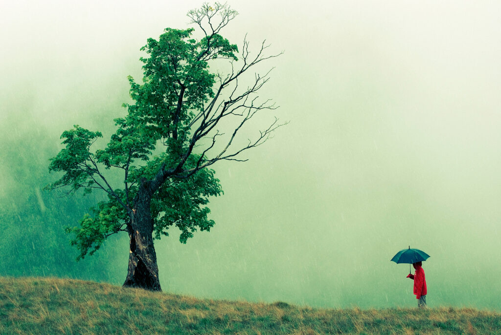 Some Advice On How to Handle the Loss of a Loved On - Lenity Light ...